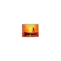 China ET070001EDH6 800*480 7.0 inch PCAP LCD screen Panel lcd Display for sale