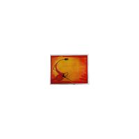 China ETM0350G0DH6 320*240 3.5 inch LCD screen Panel Industrial for sale