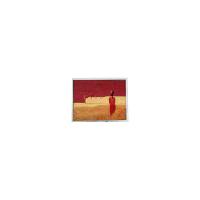 China ETML050001DHA 5.0 inch 720*1280 lcd Panel for Handheld for sale
