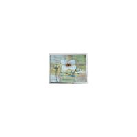 China 320*240 5.7 inch EW32F41BMW WLED lcd Panel screen Parts for sale