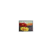 China mini 320*240 EW32F50FLY 4.7 inch 75Hz lcd Panel screen for sale