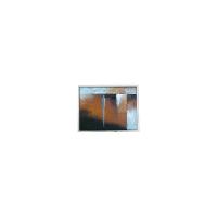 China ORIGINAL 4.7 inch 18 pins 320*240 EW32F70BCW lcd Panel Display for sale
