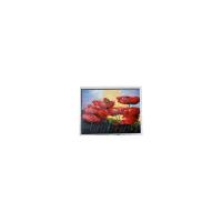 China 5.7 inch 320*240 EW50352BCW lcd Panel LCD monitor for sale