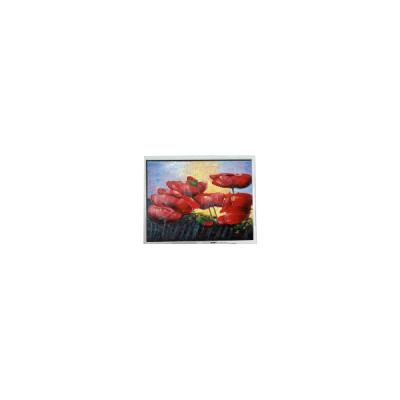 China 5.7 inch 320*240 EW50352BCW lcd Panel LCD monitor for sale