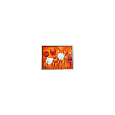China EW50397BCW 4.7 inch small 320*240 75Hz lcd Panel LCD screen for sale