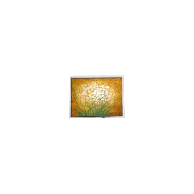 China 5.7 inch EW50853BMW 320*240 WLED 22 pins lcd screen for sale