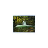 China NEW 4.1 inch COM41T4N06GTC 320*240 360 cd/m2 LCD Screen for sale