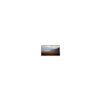 China ORIGINAL 320*240 COM41T4150GTC 4.1 inch LCD Touch module for sale