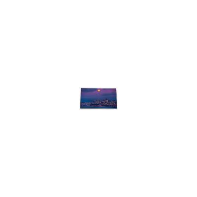 China hot sell 4.3 inch 480*272 COM43H4N44ULC 45 pins LCD Display for sale