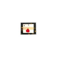 China COM50H5M67XLX 5.0 inch 480*272 45 pins LCD Display Monitor for sale