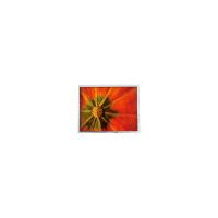 China in stock 5.0 inch COM50H5125XLC 320*240 67 pins LCD Monitor Panel Display for sale