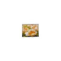 China COM50T5123XLC 320*240 5.0 inch LCD screen Display for Industrial for sale