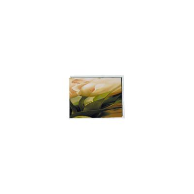 China high quality 320*240 COM50T5124GTC 5.0 inch LCD Touch screen Module for sale