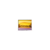 China COM57H5M64KSC 640*480 5.7 inch 33 pins LCD Screen Display for sale