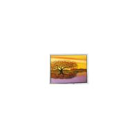 China hot sell 640*480 COM57H5M84XRC 5.7 inch 60Hz LCD Display Screen for sale