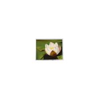 China 640*480 5.7 inch COM57H5M87KTC 262K 60Hz LCD Touch Display for sale