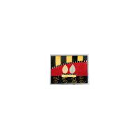 China in stock 640*480 COM57H5137XSC 5.7 inch LCD Panel screen for sale