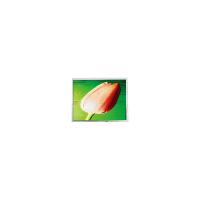 China in stock 640*480 COM57T5M54ZSC 5.7 inch 33 pins LCD Display for sale
