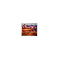 China hot sell 6.0 inch COM60H6M10DRC 640*240 LCD Panel Industrial for sale