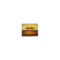 China in stock 6.5 inch COM65H6115DLC 640*480 60Hz LCD Panel for sale