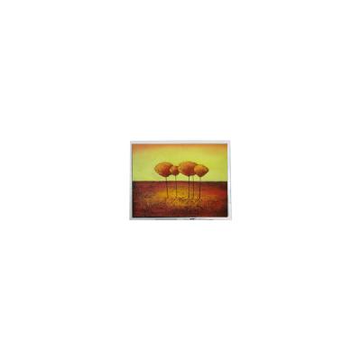 China in stock 6.5 inch COM65H6115DLC 640*480 60Hz LCD Panel for sale