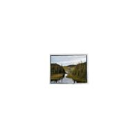 China 2.0 inch LCD screen 20QVF0H LCD monitor for Handheld for sale