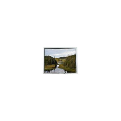 China 2.0 inch LCD screen 20QVF0H LCD monitor for Handheld for sale