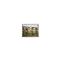 China 20QVF1H 2.0 inch LCD screen LCD monitor for PDA for sale
