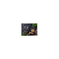 China new 3.0 inch 30WQF0H 240*400 5S1P WLED LCD screen Module for sale