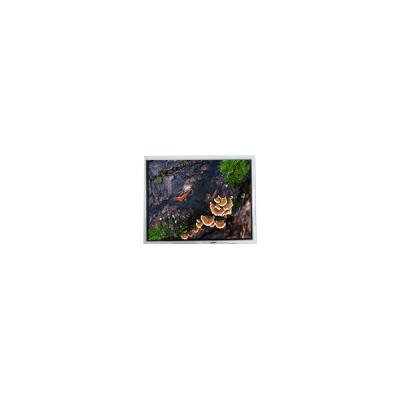 China new 3.0 inch 30WQF0H 240*400 5S1P WLED LCD screen Module for sale