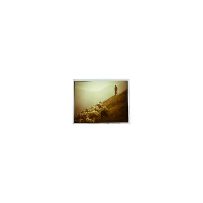China in stock 3.5 inch 320*480 35HVE1H 45 pins LCD screen for sale
