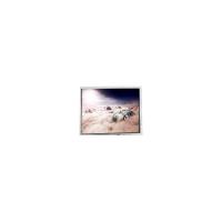 China 480*800 35WVF2H 3.5 inch LCD screen Display for Handheld for sale