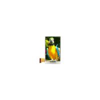 China 43WVF2A 480*800 4.3 inch LCD screen Display FOR Mobile Phone for sale