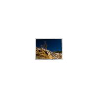 China G242CX5R1A0 5.5 inch 240*128 70Hz 20 pins LCD screen Monitor for sale