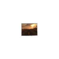 China Hot Sell 240*128 G242CX5R1AC 5.5 inch LCD screen Monitor Panel for sale