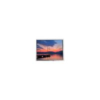 China G321DX5R1AC 320*200 6.3 inch LCD Panel screen Module for sale