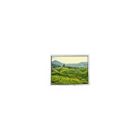 China G2446X5R1A0 240*64 5.2 inch LCD screen FOR Industrial for sale