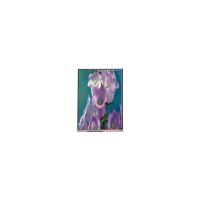 China 7.0 inch C070AWPE-0 800*480 TFT LCD Screen LCD Panel Industrial for sale