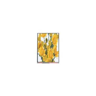 China C070SWP1 7.0 inch TFT LCD Screen Panel FOR Digital Photo Frame for sale