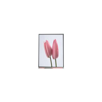 China 8.0 inch C080AWT7 R0 1024*600 TFT LCD Screen FOR Portable DVD Player for sale