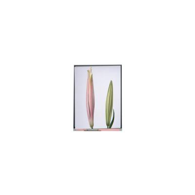 China C080SWW3-0 8.0 inch TFT LCD Screen Display FOR Tablet for sale