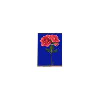 China 800*1280 C080SWW3-1 8.0 inch TFT LCD Display FOR Pad for sale