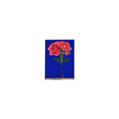 China 800*1280 C080SWW3-1 8.0 inch TFT LCD Display FOR Pad for sale