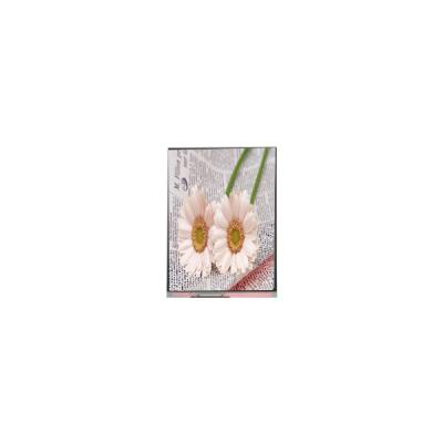 China C084GNS1-1 800*600 8.4 inch TFT LCD Display FOR Industrial for sale
