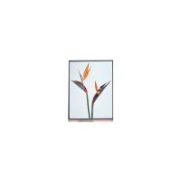 China 9.0 inch C090NWP1 R0 800*480 TFT LCD Display Panel for sale