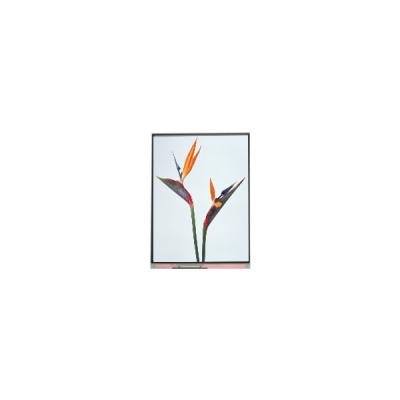 China 9.0 inch C090NWP1 R0 800*480 TFT LCD Display Panel for sale