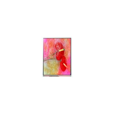 China Original 9.0 inch 800*480 C090NWP1 R1 16.7M  TFT LCD Panel screen for sale
