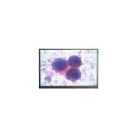 China new 640*480 G057GWV3 R0 5.7 inch TFT LCD screen lcd Panel Display for sale