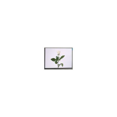China M057GWV3 R0 5.7 inch WLED TFT LCD screen lcd Panel for sale