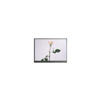China High Quality 6.0 inch M060AWRD R0 TFT LCD screen lcd Monitor for sale